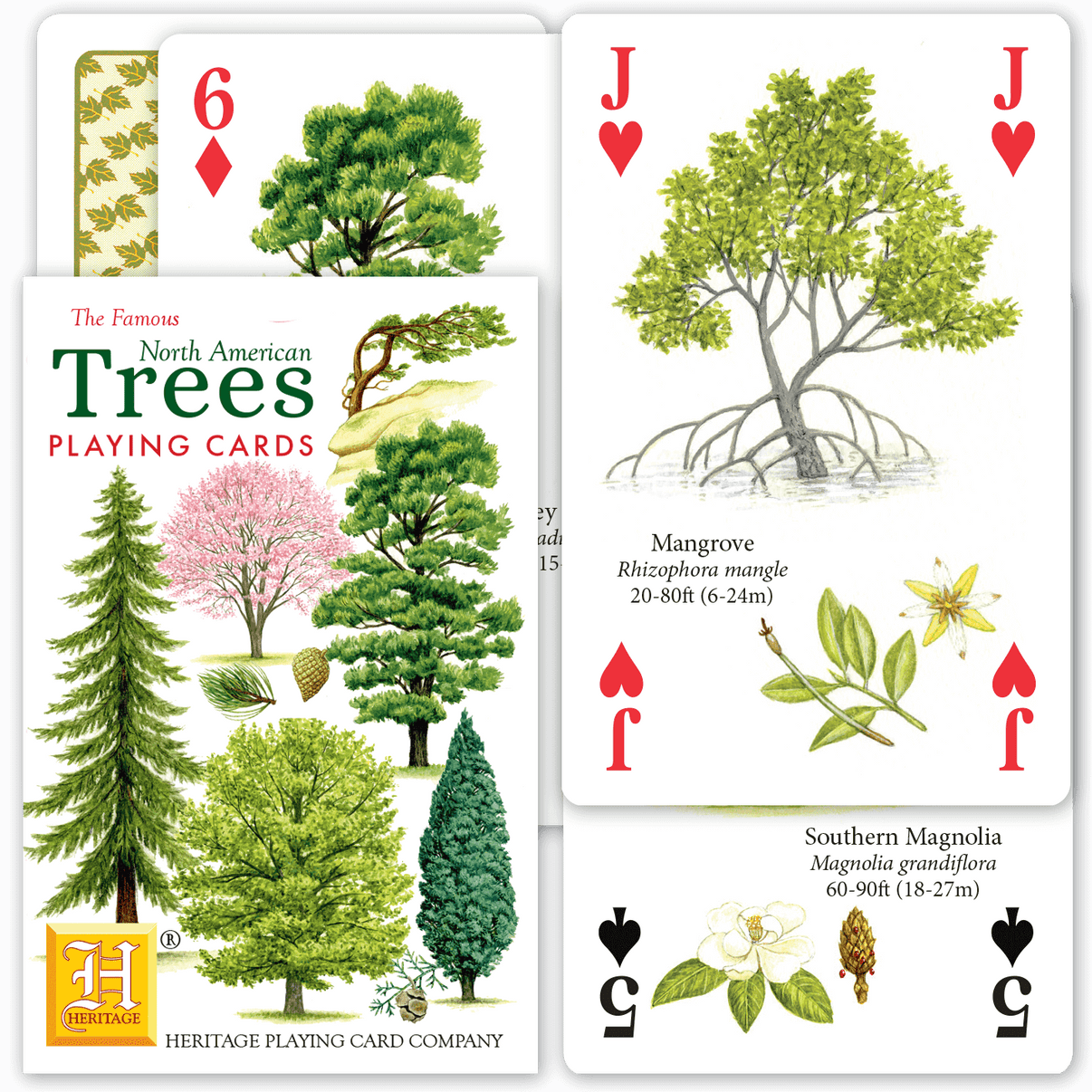 North American Trees – Heritage Playing Cards